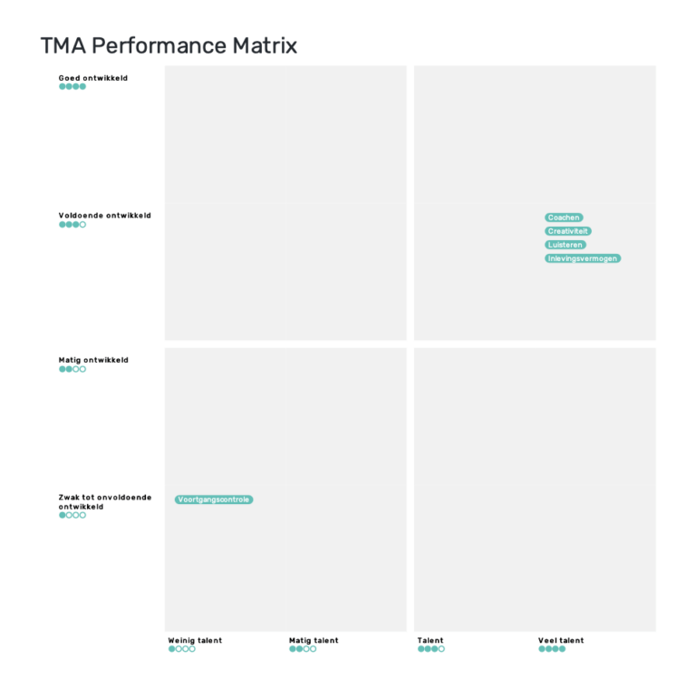 TMA Talentenanalyse voorbeeldrapporten - Hoogbegaafdexpert